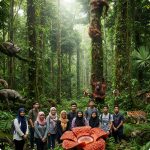 25 Fun Facts About Borneo Jungle Ecosystem (2025 Edition)
